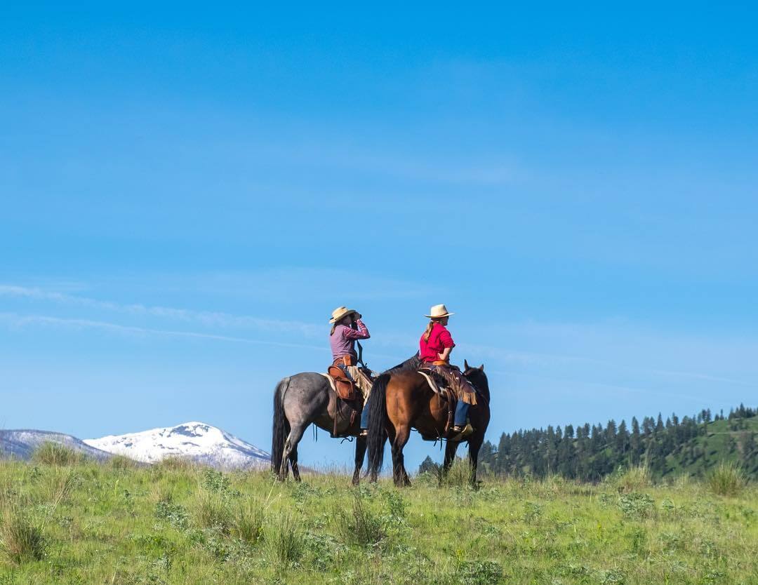 33300399_1676728645736817_3425320793192529920_o - Oxbow Cattle Company